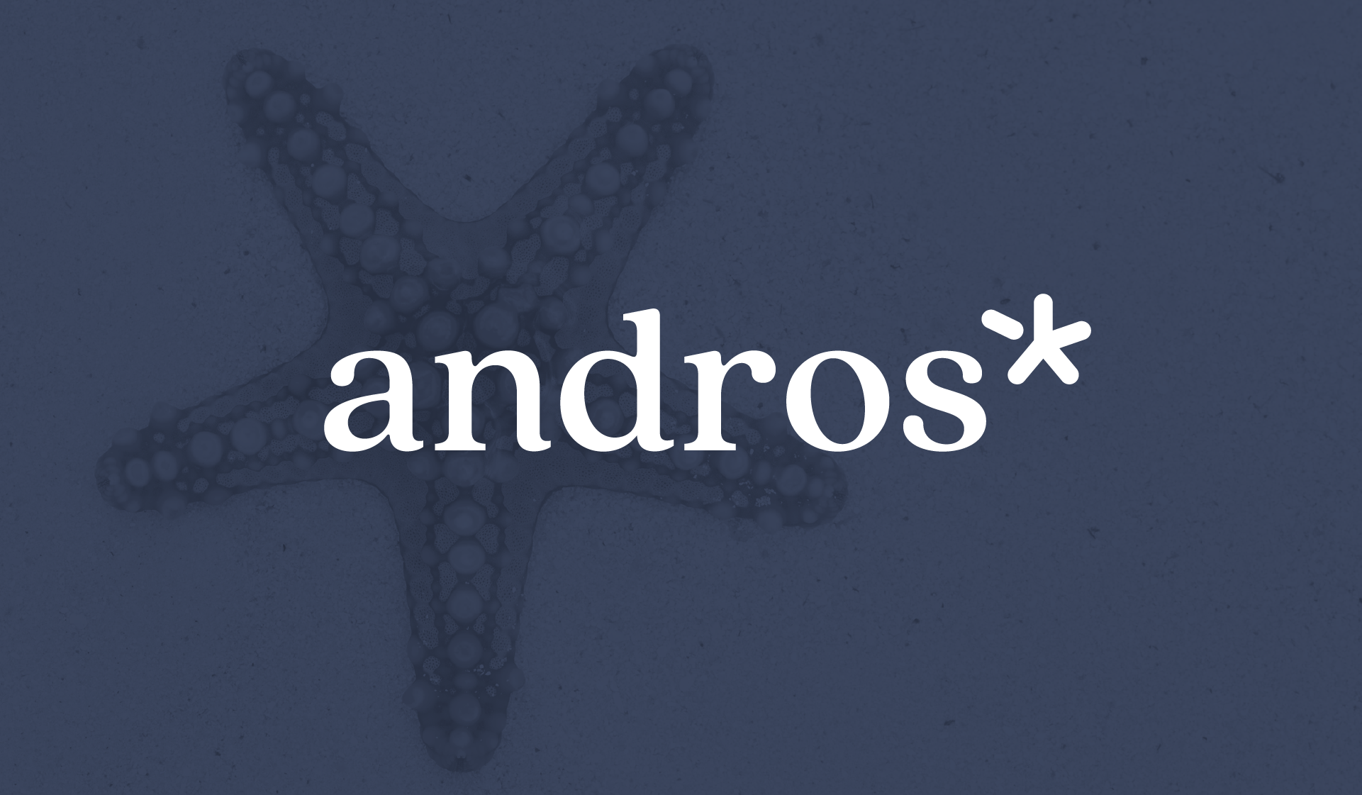 A Brand for a Company that is Transforming Healthcare - Points North